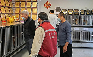 新聞分類總覽 - 2022-12-31 | Newtalk新聞