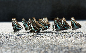 新聞分類總覽 - 2023-6-2 | Newtalk新聞