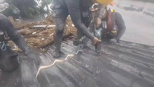 (影)花蓮光復6歲女童困兩天奇蹟生還！同住乾姑姑遺體已尋獲 | 社會 | Newtalk新聞